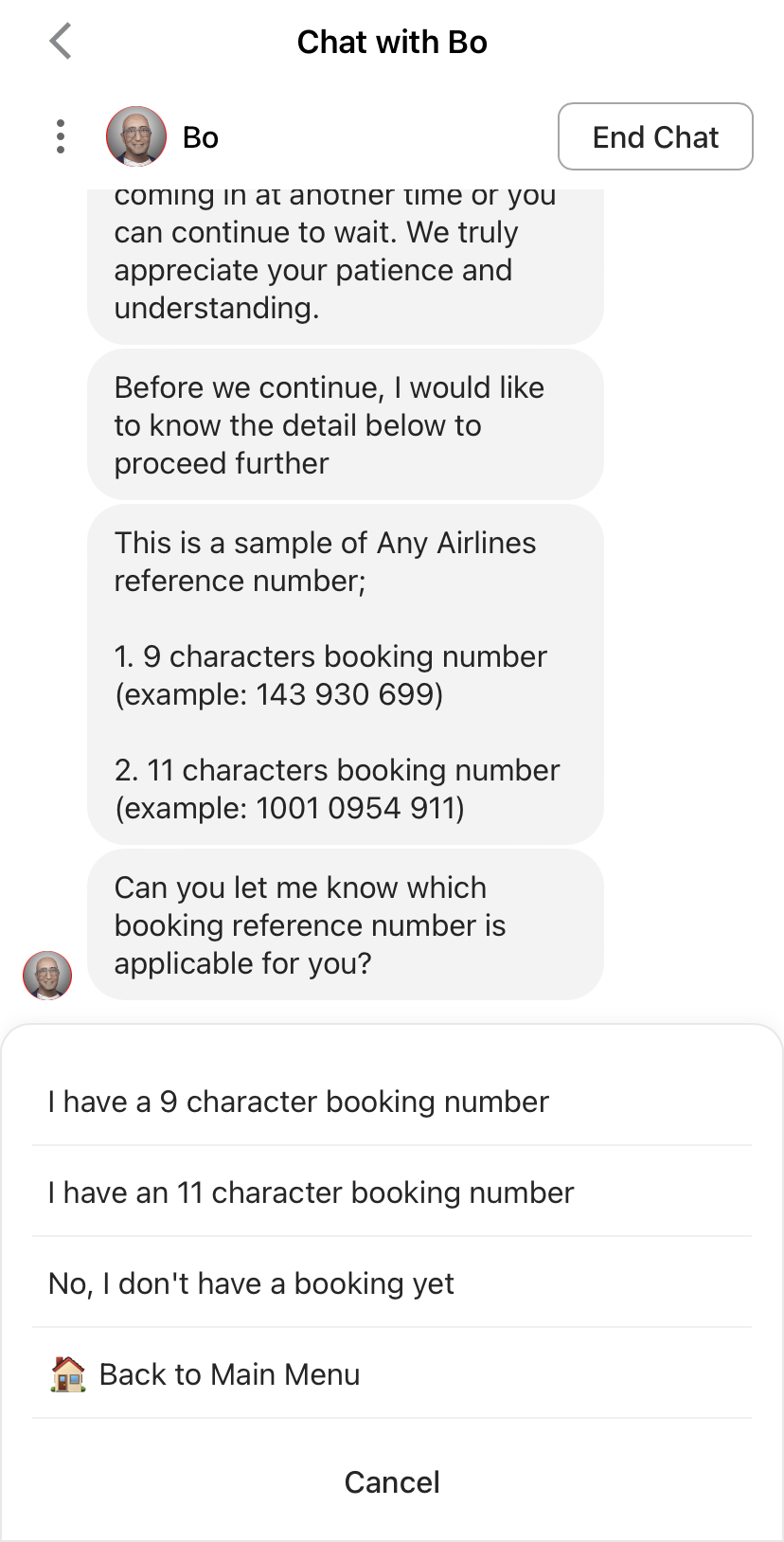 Any Airlines: Purchases