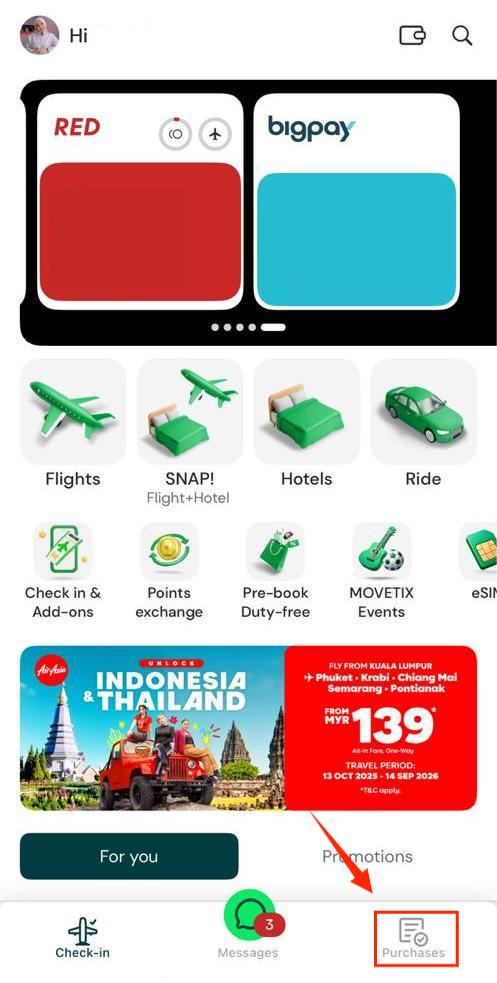 Any Airlines: Purchases